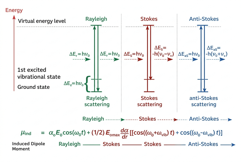 What is Raman Spectroscopy? | Applications & Working Principle