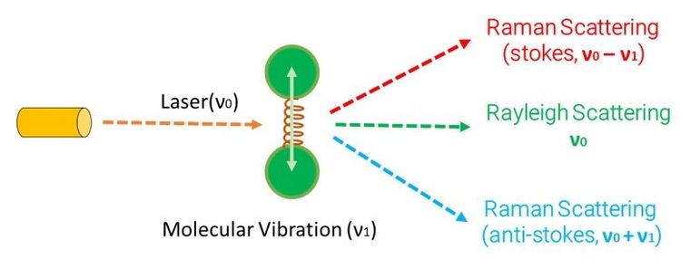 Principle of Raman Spectroscopy & Core Components