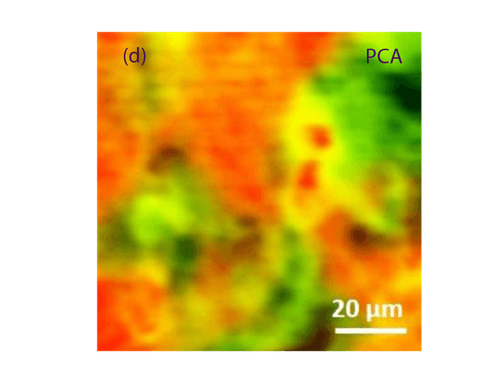 Pharmaceutical Tablet Analysis with Raman Imaging